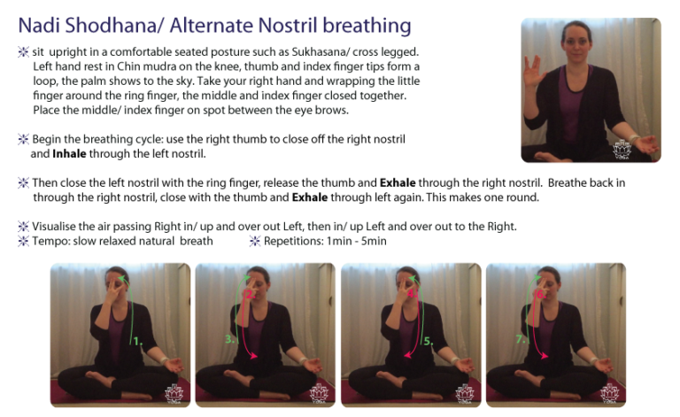 Pranayama Series Nadi Shodhana Alternate Nostril Breathing